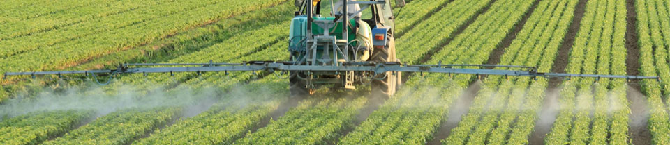 About Us – CFC Africa